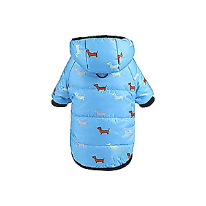 Pet Clothing for Medium Dogs Male Autumn and Winter Teddy Thickened Cotton Small and Medium Sized Dogs Clothes for Small Dogs Girl