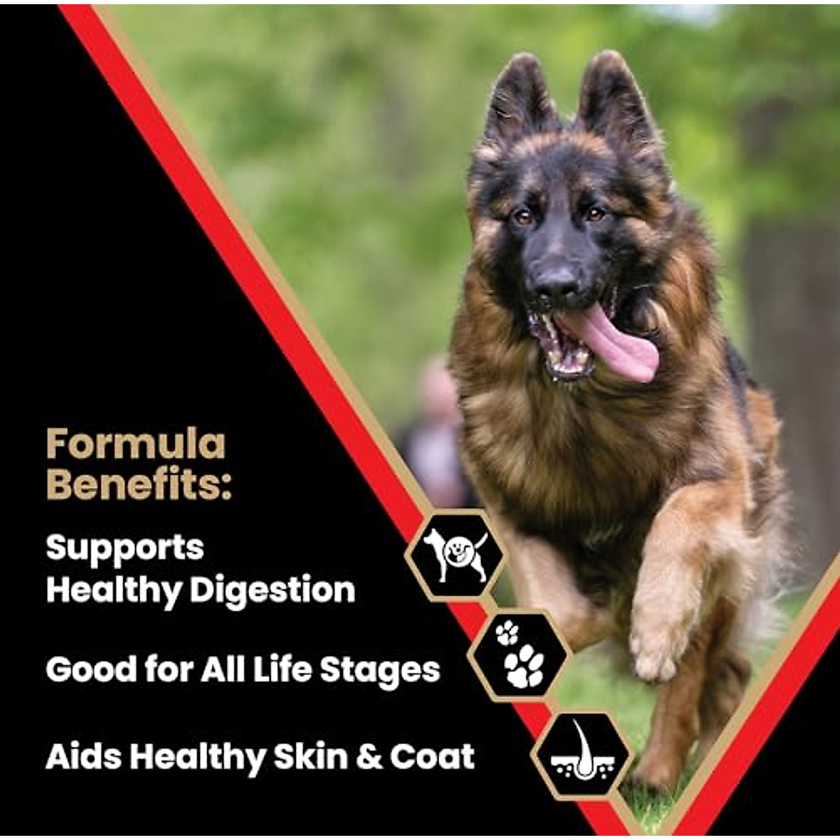 Victor Super Premium Dog Food – High Energy Dry Dog Food for Active Dogs – Gluten Free Dog Food with Beef and Chicken Meal Proteins for Sporting Dogs – All Breeds and All Life Stages, 15 Lb