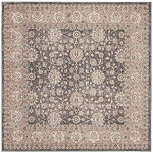 SAFAVIEH Sofia Collection 12' x 18' Light Grey/Beige SOF330B Vintage Oriental Distressed Non-Shedding Living Room Bedroom Dining Home Office Area Rug