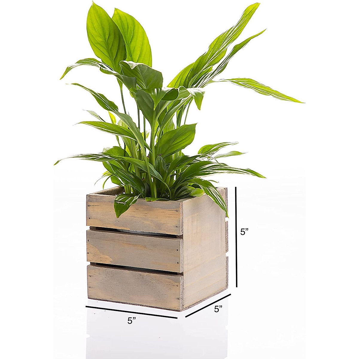 Wood Planter Box with Wine Crate Styled, 5 Inch Square, Rustic Barn Wood, Plastic Liner, Wedding Flowers Holder, Home and Venue Decor, (5x5 Wine Crate Set of 4)