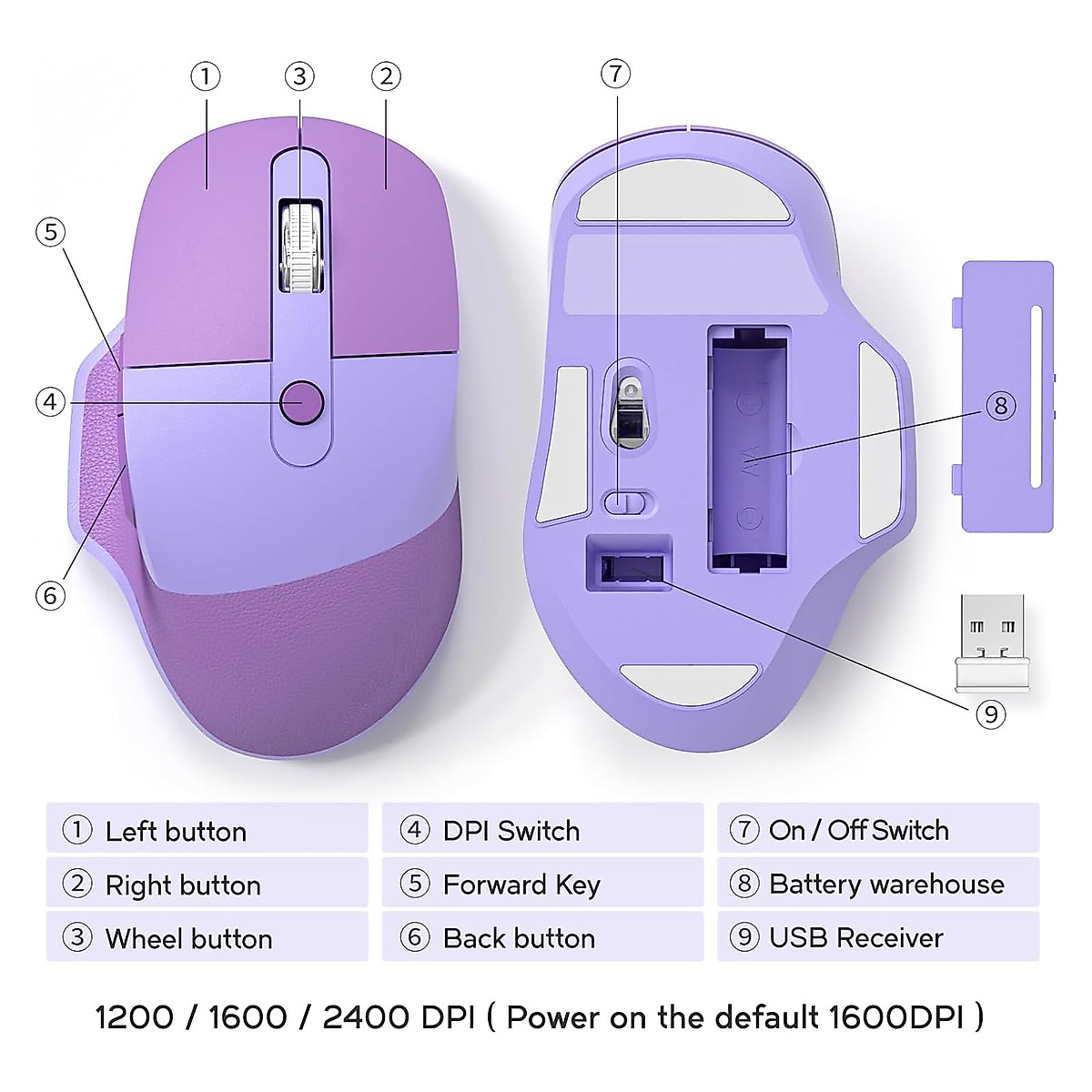 Wireless Ergonomic Keyboard and Mouse Combo with PU Wrist Rest, Carpal Tunnel Keyboard, 2.4G Colorful Split Ergo Keyboard, Comfortable Natural Typing, Compatible with PC/Laptop (Purple)