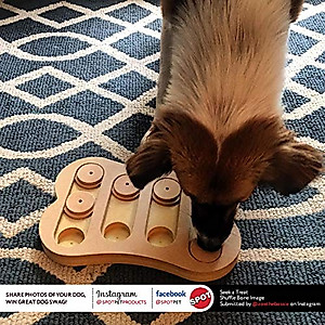 SPOT Ethical Pet Interactive Seek-A-Treat Shuffle Bone Toy Puzzle That Will Improve Your Dog's IQ, Specially Designed for Training Treats