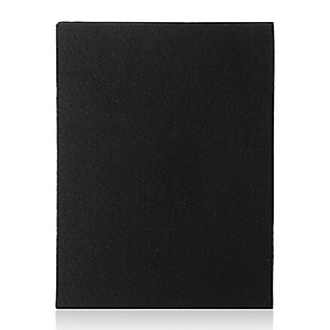 RONGJU 2 + 8 115115 C535 Replacement Filter A Size 21 Compatible with Winix PlasmaWave C535 5300 5300-2 5500 6300 6300-2 9000 9500 9800 P300 AM90