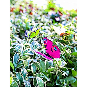 VGOODALL 50pcs Butterfly Garden Decorations, 11.5 inch Plastic Butterfly Stakes Ornaments Artificial Butterflies for Flower Bouquet Arrangements Crafts Outdoor Wall Patio Plant Christmas Yard Decor