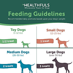 HEALTHFULS Heathfuls Digestive Support - Chicken and Pumpkin Recipe