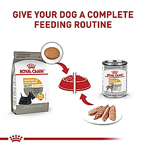 Royal Canin Small Sensitive Skin Care Dry Dog Food, 3 lb bag