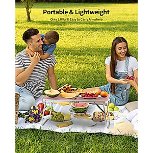 FISYOD Folding Laptop Table, Bed Table Lap Desk, Breakfast Tray Table, Portable Mini Picnic Study Reading Drawing Table, Folding in Half with Inner Storage Space (Pink)