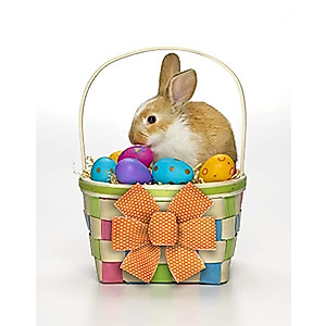 Dots Ribbons for Wreath Bows Wrapping Gifts, Polka-Dots Orange Ribbons for Decoration DIY Crafts, 2.48" X 10 Yards Spring Wired Edge Burlap Ribbon