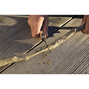 Kikkerland Huckleberry First Pocket Knife, Compact 4 in 1 Tools, Lightweight, Wood Handle, Stainless Steel, Keyring, For Camping, Hiking and Fishing