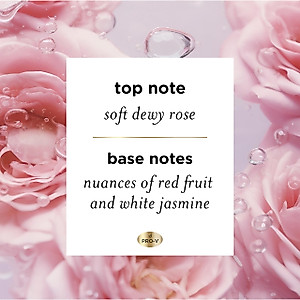 Pantene Nutrient Blends Miracle Moisture Boost Rose Water Conditioner for Dry Hair, Sulfate Free, 8 Fl Oz