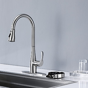 GAGALIFE Glass Rinser for Kitchen Sink Brushed Nickel, Kitchen Sink Accessories, Bar Glass Rinser, G86066BN