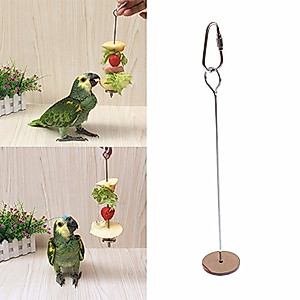Bird Food Holder,Bird Feeders,Pure Stainless Steel Parrot Fruit Vegetable Stick Holder,Bird Treat Skewer.Holder Vegetable Skewer Food Feed Treating Tool for Parrots(2 Sizes) (Small — 4.7 in (12 cm))