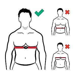 MYZONE® MZ-3 Replacement Strap (Small)