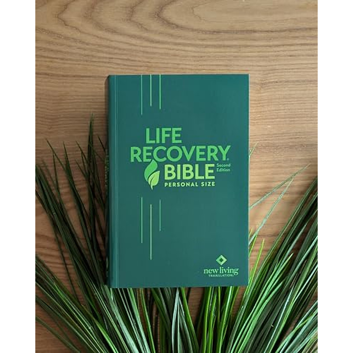 NLT Life Recovery Bible, Second Edition, Personal Size (Softcover): Addiction Bible Tied to 12 Steps of Recovery for Help with Drugs, Alcohol, Personal Struggles - With Meeting Guide