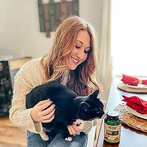 NOW Foods Pet Health, Kidney Support Supplement, Formulated for Cats & Dogs, NASC Certified, Powder, 4.2-Ounce