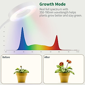 Diivoo Smart Grow Light for Indoor Plant Full Spectrum, Bluetooth LED Growing Lamp for Small Herb Garden, Automatic Timer, Stepless Dimming, Height Adjustable
