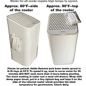 Special! Pole Bean Seeds for Planting Vegetables and Fruits-Chinese Green Bean Seeds 扁豆芸豆.French/Romano Pole Beans.Non GMO Garden Seeds for Home Vegetable Garden-30ct Helda Bean,15g