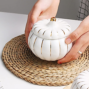 DOITOOL Pumpkin Soup Bnowl Vegetable Pumpkin Soup Or Dessert Bowl with Lid Ceramic Decor Dinnerware for Halloween Pumpkins Party Accent White