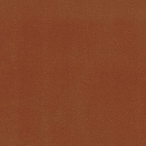 Lexicon Elyse Dining Chair (Set of 2), Orange