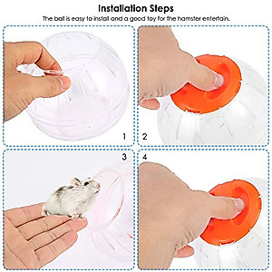 Felenny Hamster Exercise Ball Mini Fashion Plastic Running Toy Small Pet Jogging Training Activity Ball Toy for Hamster Gerbil
