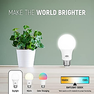 Regal LED A19 Light Bulb 5000K Daylight 800-Lumen, 9-Watt (60-Watt Equivalent), E26 Base, 5000 Kelvin, Day Light, 5-Pack, Non-Dimmable