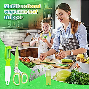 VIBIRIT Herb Scissors Leaf Herb Stripper, Stainless Steel 5 Blade Kitchen Scissors,Peelers for Kitchen,for Chopping Chive, Vegetables, Salad,Collard Greens, Parsley, Rosemary Herb As Christmas gifts
