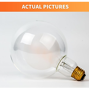 ALAMPEVER Large Globe LED Light Bulbs, Decorative Dimmable LED with 6W Equivalent to 40W Light Bulbs, 2700K Soft White, E26 Base,400LM,CRI90,G125,Frosted