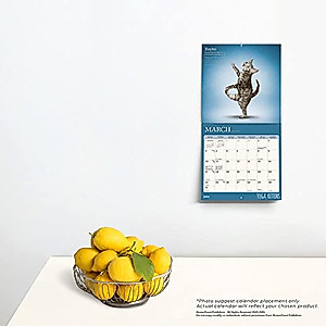 Yoga Kittens OFFICIAL | 2024 7 x 14 Inch Monthly Mini Wall Calendar | BrownTrout | Animals Humor Cats Feline