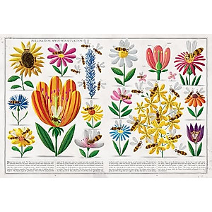 Bees: A Honeyed History