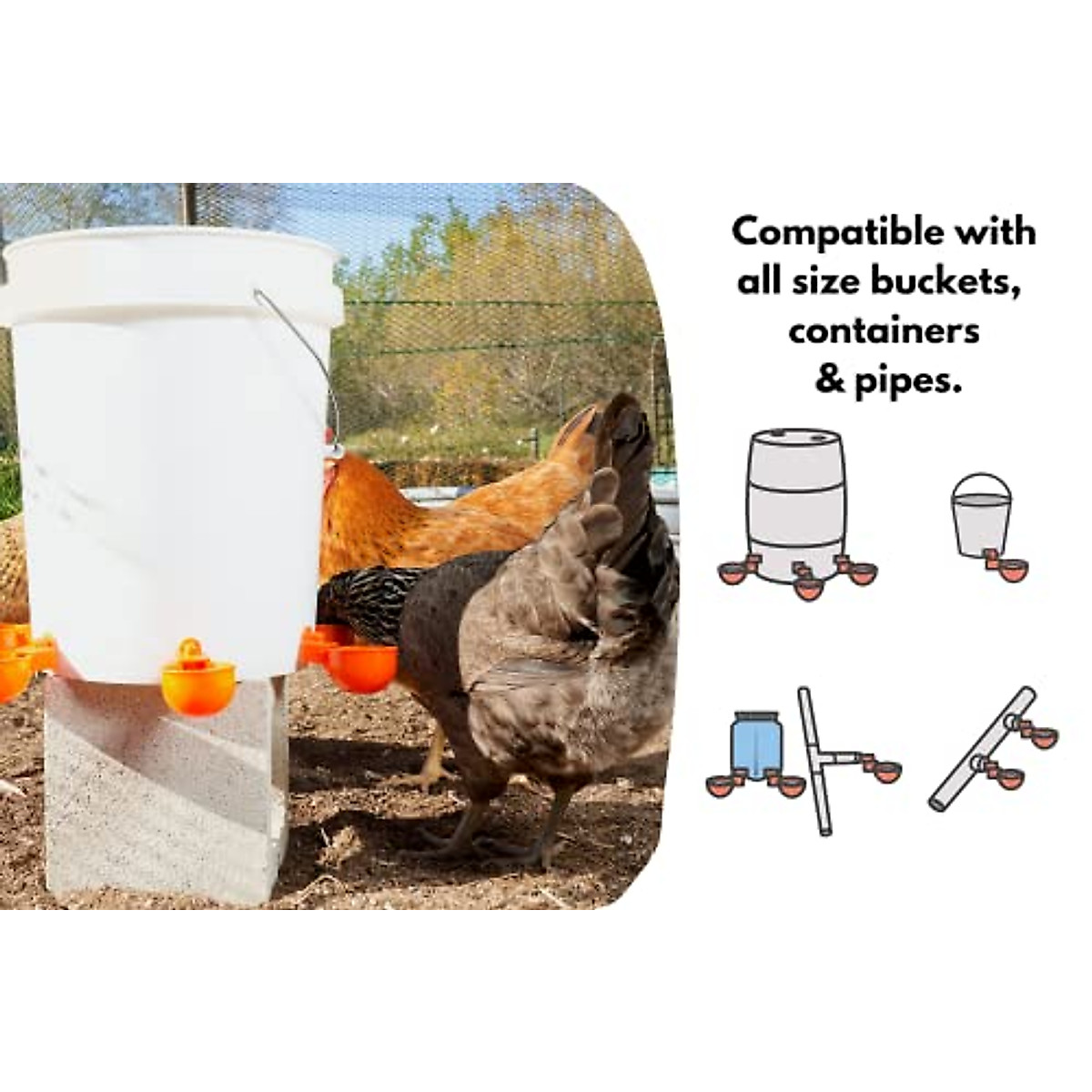 Roosty's® Chicken Waterer Cups x6 - Chicken Water Feeder Kit, Make Large Chicken Waterer 5 Gallon DIY Chicken Supplies, Chicken Water Cups, Duck Quail Waterer - Bebederos Para Gallinas,Poultry Waterer