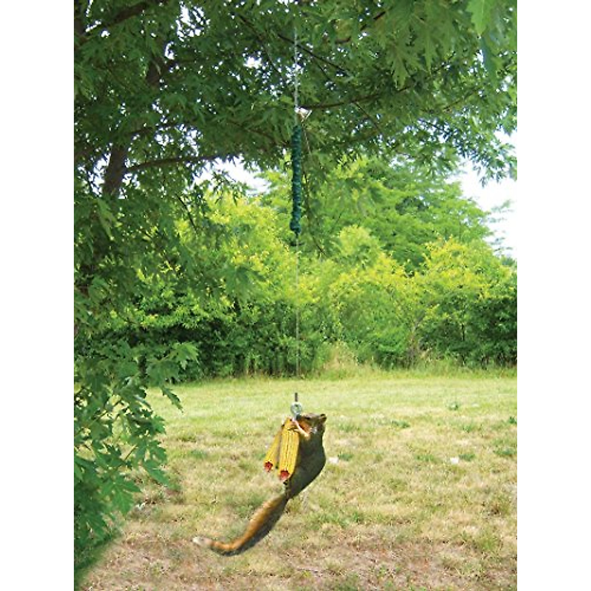 Songbird Essentials Squngee Squirrel Feeder, Amusing Bungee and Bell Squirrel Feeder, Holds 2 Ears of Corn