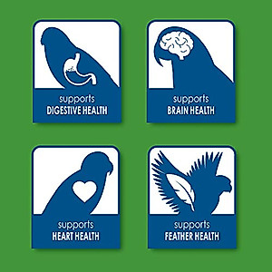 Kaytee Exact Rainbow with Natural Colors Large Parrot