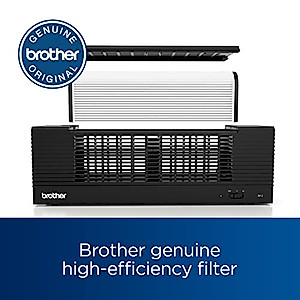 Brother DF-2 High-Efficiency Filter Replacement Model Number FH221, Black