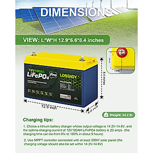 LOSSIGY 12V 100AH Lifepo4 Battery, Deep Cycle Rechargeable Lithium with BMS, 10 Yrs Lifespan, Prefect for Any Solar System, Best for Replacement Your Olds.