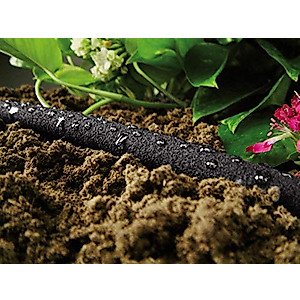Cellfast Weeping Hose DRIP 1/2'' 7.5m, for Irrigation, Economical and Precise Plant Watering, Fixed Nozzles, 19-001, Black, (25 ft)