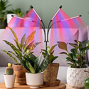 ZDMATHE 120W LEDs Plant Grow Lights for Indoor Plants Growing, Height Adjustable Full Spectrum LED Grow Lights for Seed Starting - 4/8/12H Timer, 3 Switch Modes, 10 Dimmable Brightness