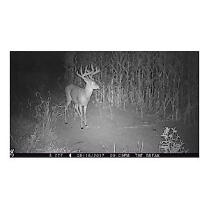 Browning Trail Cameras Strike Force Extreme 16MP Game Camera (10-Pack) Bundle with Security Box (10-Pack), Locking Cable (10-Pack), 32GB Memory Card (10-Pack), and Card Reader (41 Items)