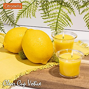 HYOOLA Clear Cup Scented Votive Candles - Citronella - 12 Hour Burn Time - 4 Pack - European Made