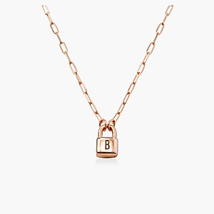 Oak&Luna - Personalized Initial Lock Necklace