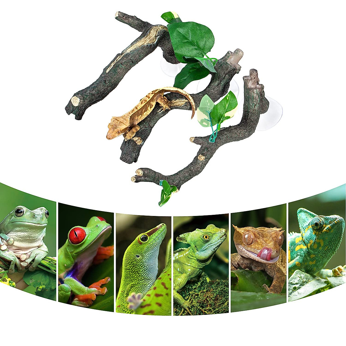 REPTIZOO 3 PCS Reptile Climbing Branch Terrarium Plants Decor with Suction Cup Resin Spliceable Corner Branch for Amphibian Snake Lizards Geckos Habitat Decor