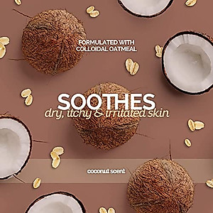 Bark 2 Basics Oatmeal Dog Shampoo, 16 oz - Natural Colloidal Oatmeal, Natural Ingredients, Calms Dry Itchy Irritated Skin, Moisturizes and Soothes the Skin and Coat, Professional Grade