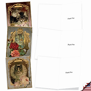 The Best Card Company 10 Assorted Thank You Notecards Box Set 4 x 5.12 Inch with Envelopes (10 Designs, 1 Each) Feline Frames M6638TYG