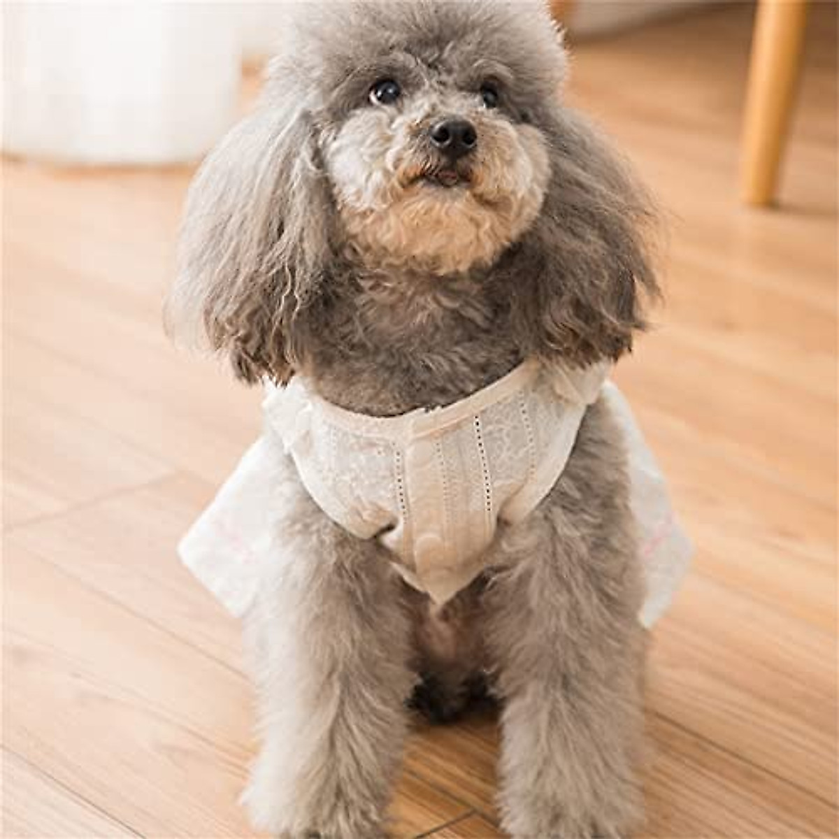 HOUKAI Dress Dog Clothes Dog pet Clothes Skirt Summer Cotton White Skirt (Color : D, Size : Lcode)