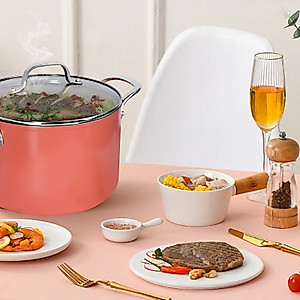 Flamingpan 5.5 Quart Nonstick Stock Pot, Ceramic CoatingStockpot, Casserole Oven Safe & Easy to Clean,Stock Pot Suitable for Any Cooktop & Dishwasher,Durable for Using, Pot for Kitchen & Dinning