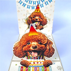 Crazytops Poodle Dog 3D Birthday Funny Pop Up Cards, Poodle Funny and Surprise Happy Birthday Lovely Cards