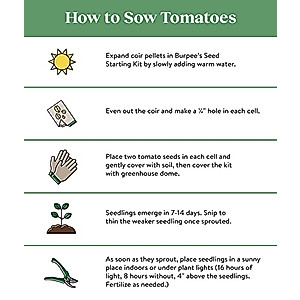 Burpee Better Boy Hybrid Tomato Seeds | Large Slicing Red Tomato Variety | 30 Non-GMO Vegetable Seeds for Planting | Disease-Resistant Tomato for Garden