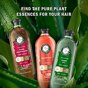 Herbal Essences bio:renew White Grapefruit & Mosa Mint Naked Volume Shampoo, 13.5 fl oz