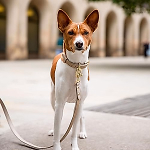 Nina Woof Milan Vegan Leather Dog Leash, 4ft Padded Slim Dog Lead, Vegan Crocodile Leather, Dog Leash for Small Dogs, Lightweight Dog Leashes for Medium Dogs, Thin Dog Leash, Beige