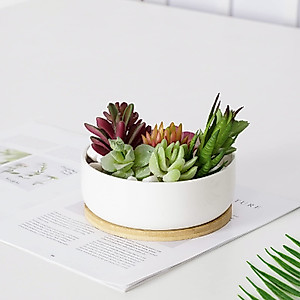 Fengson Succulent Pots, White Ceramic Flower Succulent Planters Pot with Bamboo Tray, 1 Rectangle Flower Pot + 1 Round Flower Pot 6.5" Drainage Hole for Cactus Herb Home