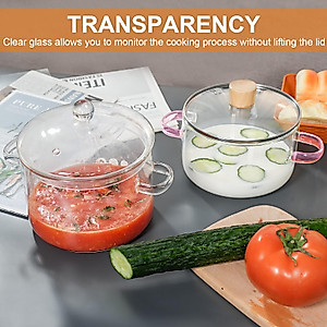 Glass Saucepan With Cover, 2L/70OZ Upgraded Thickened Heat-Resistant Glass Pots For Cooking On Stove, HOIDGUB The Best Handmade Glass Simmer Pot For Glass Safe For Pasta Noodle, Soup, Milk, Baby Food